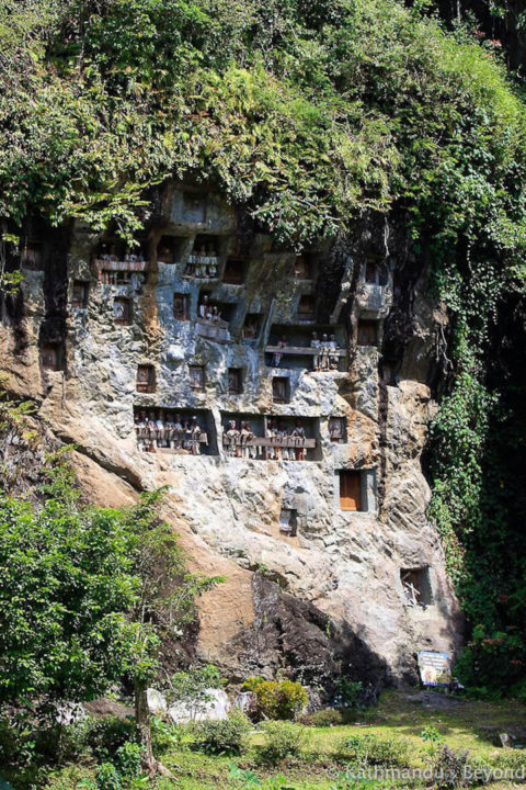 Attending a traditional Torajaland funeral in Sulawesi, Indonesia