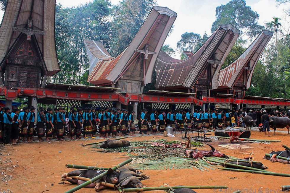 Attending a traditional Torajaland funeral in Sulawesi, Indonesia