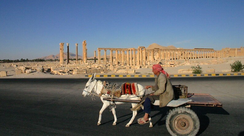 Friday Flashback | Palmyra in pre-civil-war Syria | Travel Photography