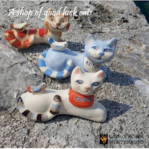 Cats in Kotor Old Town, Montenegro | Europe Travel Guides