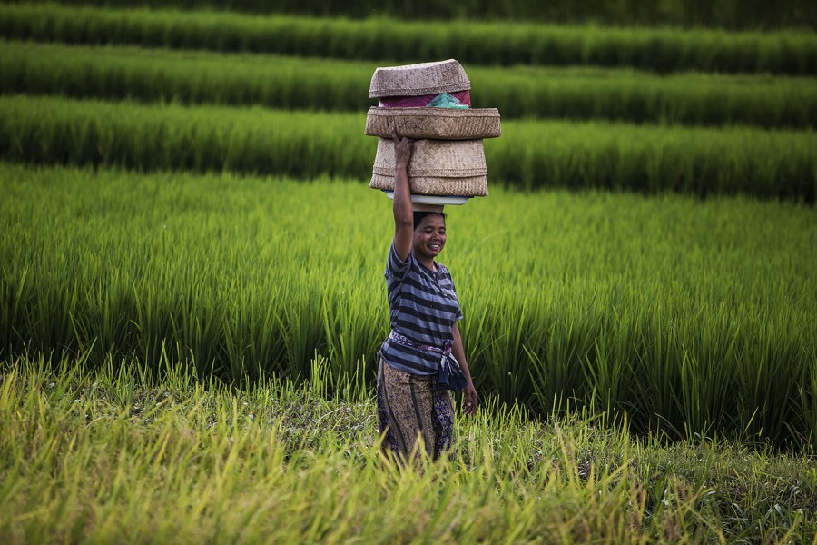 Bali Rural Commune | A Guide for Independent Travellers to Indonesia