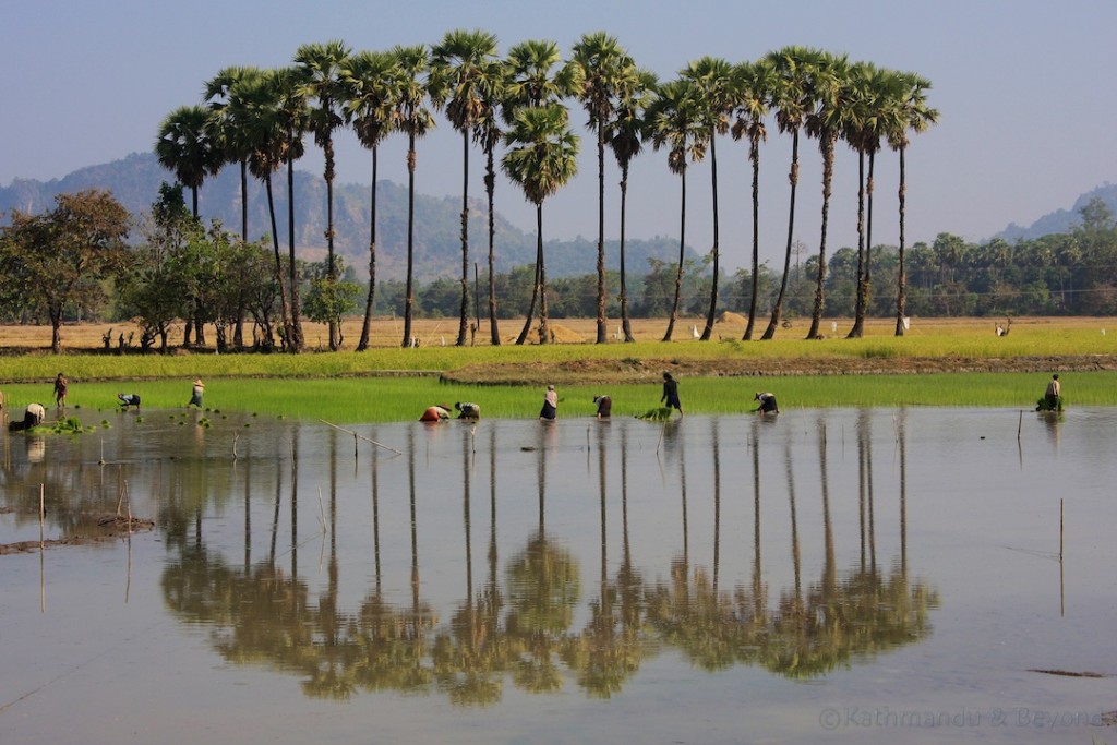 Burma in Photographs