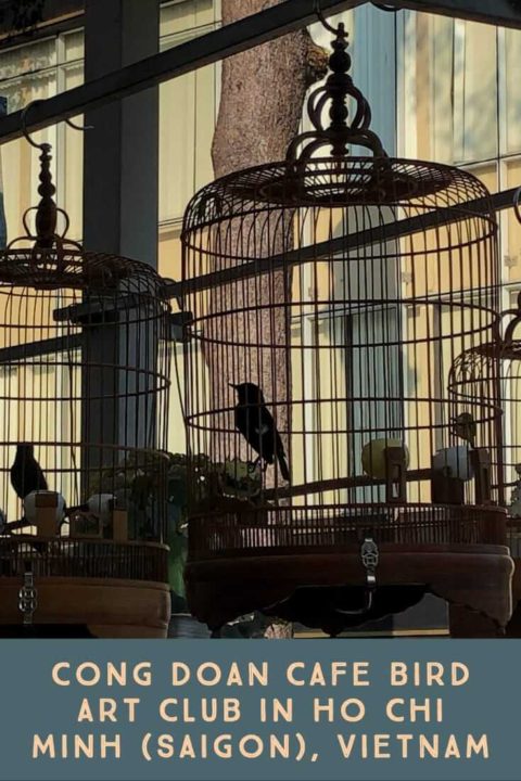 Birdsong at Saigon Bird Cafe in Ho Chi Minh, Vietnam