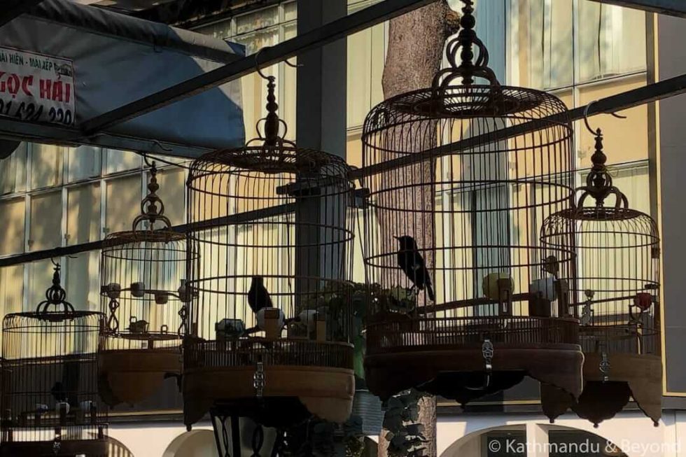 Birdsong at Saigon Bird Cafe in Ho Chi Minh, Vietnam