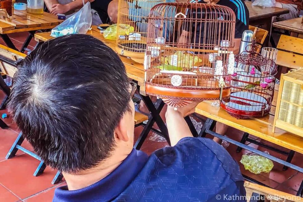Birdsong at Saigon Bird Cafe in Ho Chi Minh, Vietnam