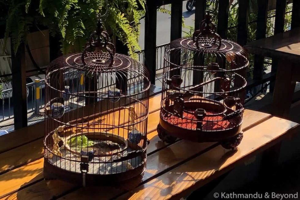 Birdsong at Saigon Bird Cafe in Ho Chi Minh, Vietnam