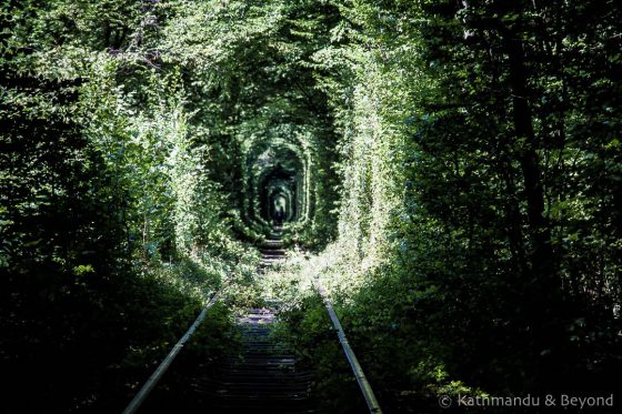 Visiting Ukraine’s Tunnel of Love in Klevan | Travel of the Path